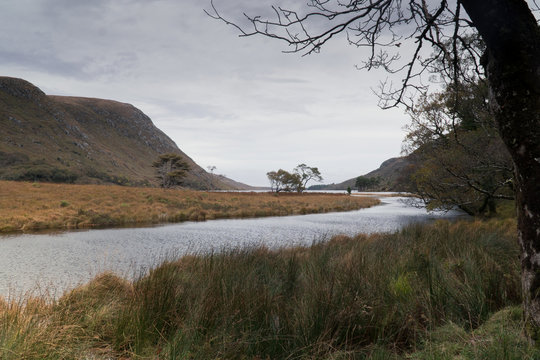 Lought Images – Browse 38 Stock Photos, Vectors, and Video | Adobe Stock