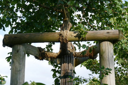 Baumbindung Images – Browse 6 Stock Photos, Vectors, and Video | Adobe ...