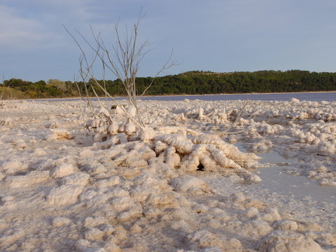 Geosel Images – Browse 38 Stock Photos, Vectors, and Video | Adobe Stock