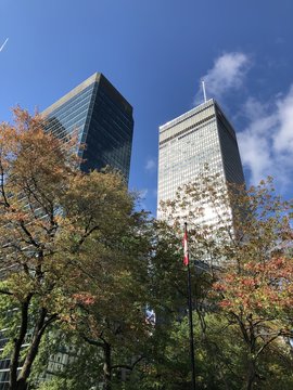 Udem Images – Browse 42 Stock Photos, Vectors, and Video | Adobe Stock