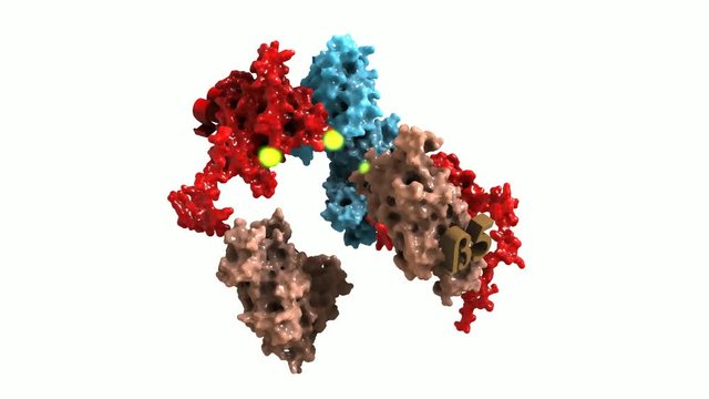 Proteolyse bilder – Bläddra bland 20 stockfoton, vektorer och videor ...