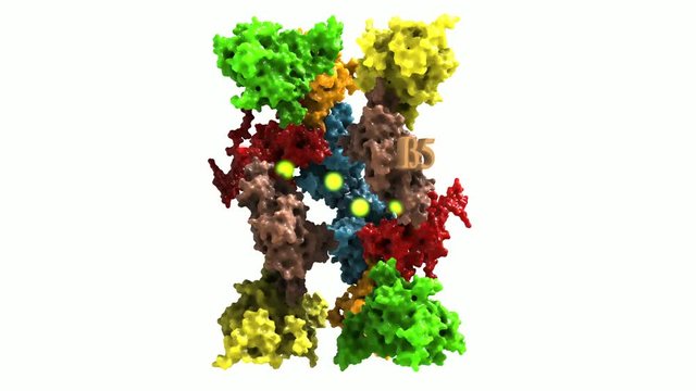 Proteolyse bilder – Bläddra bland 20 stockfoton, vektorer och videor ...