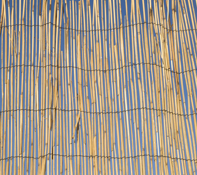 รูปภาพPackthread – เลือกดูภาพถ่ายสต็อก เวกเตอร์ และวิดีโอ3,100 | Adobe ...