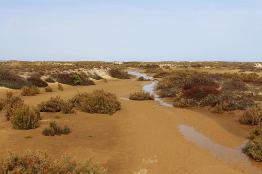 Rinsal Bilder – Durchsuchen 86 Archivfotos, Vektorgrafiken und Videos ...