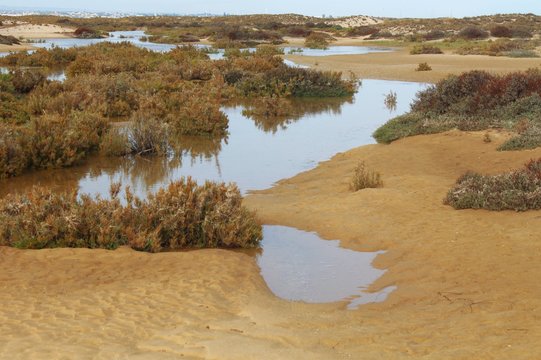 Rinsal Bilder – Durchsuchen 86 Archivfotos, Vektorgrafiken und Videos ...