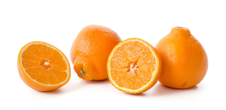 รูปภาพTangelos – เลือกดูภาพถ่ายสต็อก เวกเตอร์ และวิดีโอ17,913 | Adobe Stock