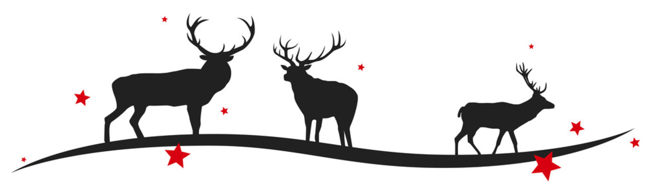 รูปภาพRodolphe – เลือกดูภาพถ่ายสต็อก เวกเตอร์ และวิดีโอ108 | Adobe Stock