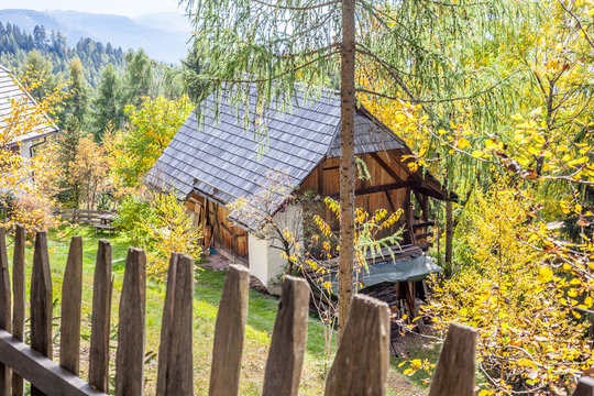 Imágenes de Maso: descubre bancos de fotos, ilustraciones, vectores y ...