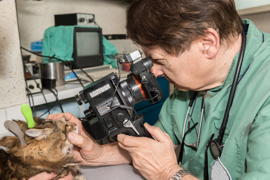 Collyre Images – Browse 60 Stock Photos, Vectors, and Video | Adobe Stock