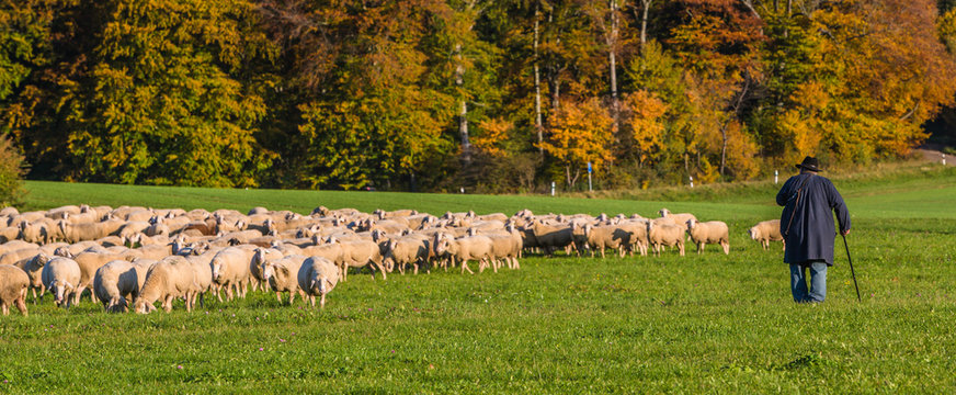 28,510 BESTE Schafhirte BILDER, STOCK-FOTOS & -VEKTORGRAFIKEN | Adobe Stock