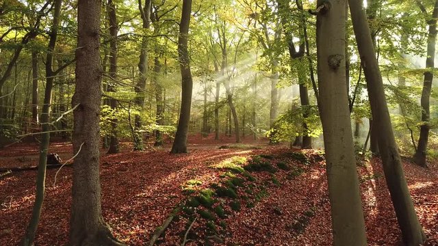 Color Shift inspirational stock assets | Adobe Stock