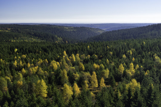 Nordschwarzwald Bilder – Durchsuchen 3,945 Archivfotos, Vektorgrafiken ...