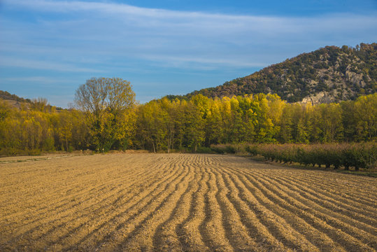Souiller bilder – Bläddra bland 540 stockfoton, vektorer och videor ...