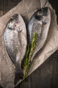 「Dorado」の画像 - 47,398 件の Stock 写真、ベクターおよびビデオ | Adobe Stock