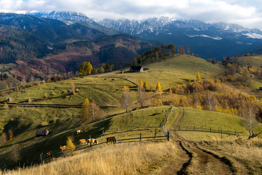 Moeciu Bilder – Durchsuchen 656 Archivfotos, Vektorgrafiken und Videos ...
