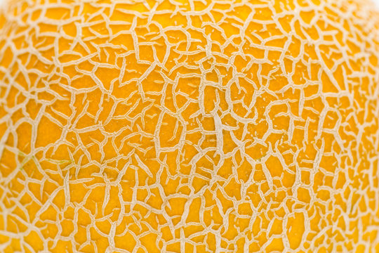 "Melon Texture" Images – Browse 222 Stock Photos, Vectors, and Video ...