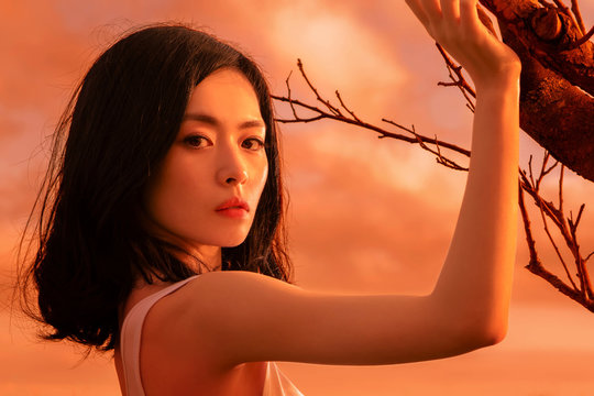 「美女」の画像 - 1,549,093 件の Stock 写真、ベクターおよびビデオ | Adobe Stock