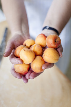 「Apricose」の画像 - 35 件の Stock 写真、ベクターおよびビデオ | Adobe Stock