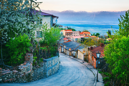 Signaxi Images – Browse 33 Stock Photos, Vectors, and Video | Adobe Stock