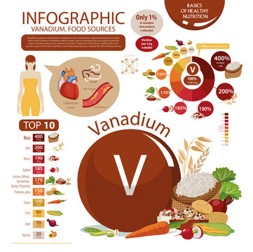 รูปภาพMacrocells – เลือกดูภาพถ่ายสต็อก เวกเตอร์ และวิดีโอ231 | Adobe Stock