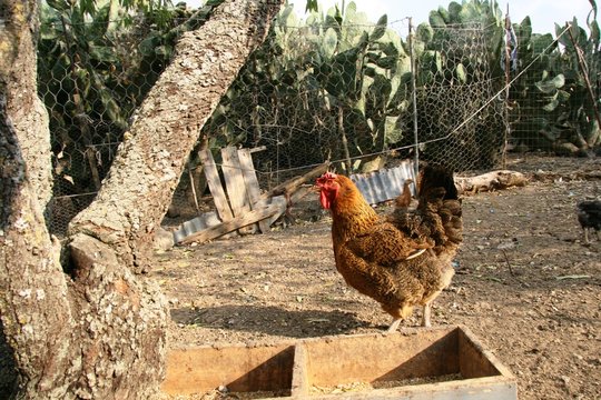 รูปภาพPolli – เลือกดูภาพถ่ายสต็อก เวกเตอร์ และวิดีโอ2,550 | Adobe Stock