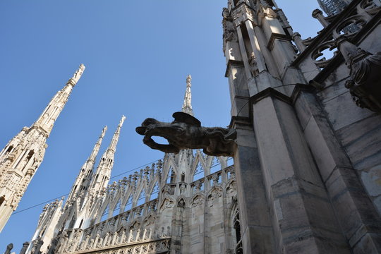 Gargulec Images – Browse 37 Stock Photos, Vectors, and Video | Adobe Stock