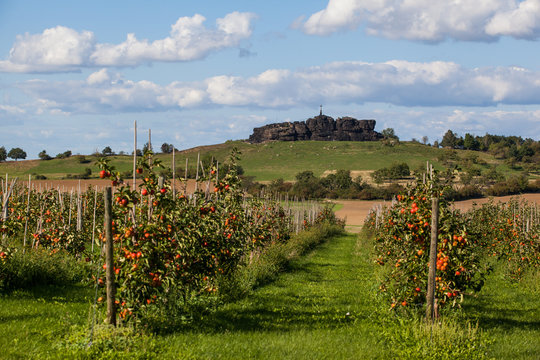 รูปภาพObstplantage – เลือกดูภาพถ่ายสต็อก เวกเตอร์ และวิดีโอ3,420 ...