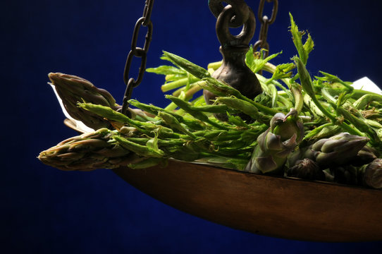 Sparris 画像 - 参照 32 Stock 写真、ベクターおよびビデオ | Adobe Stock