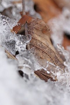 Vergetures Images – Browse 29 Stock Photos, Vectors, and Video | Adobe ...