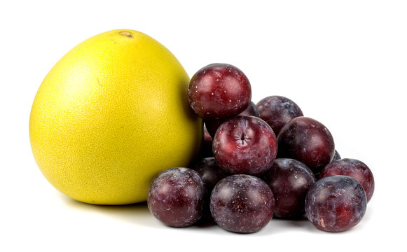 รูปภาพPomela – เลือกดูภาพถ่ายสต็อก เวกเตอร์ และวิดีโอ550 | Adobe Stock