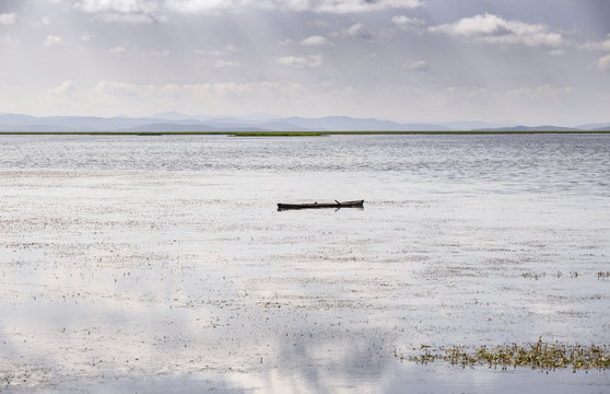 รูปภาพTeau – เลือกดูภาพถ่ายสต็อก เวกเตอร์ และวิดีโอ121 | Adobe Stock