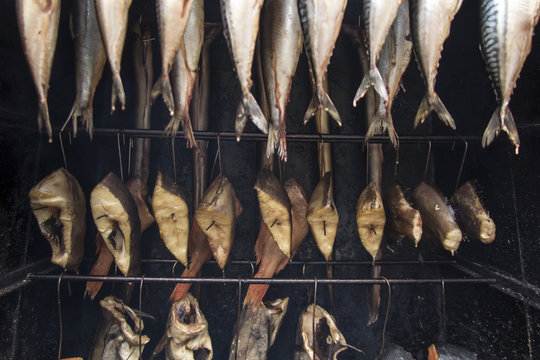 "Smoking Fish" Images – Browse 198 Stock Photos, Vectors, and Video ...