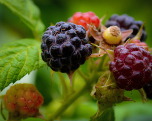 Kelly Paal photos, images, assets | Adobe Stock