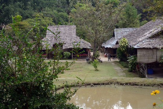 Palong Images – Browse 30 Stock Photos, Vectors, and Video | Adobe Stock