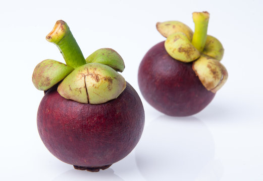 รูปภาพMangustan – เลือกดูภาพถ่ายสต็อก เวกเตอร์ และวิดีโอ442 | Adobe Stock