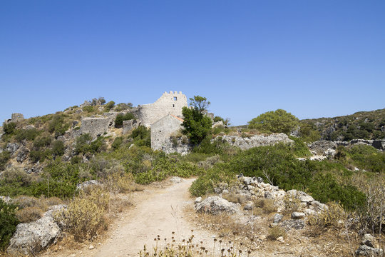 รูปภาพCitera – เลือกดูภาพถ่ายสต็อก เวกเตอร์ และวิดีโอ95 | Adobe Stock