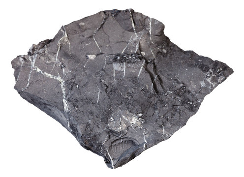 รูปภาพShale – เลือกดูภาพถ่ายสต็อก เวกเตอร์ และวิดีโอ46,687 | Adobe Stock