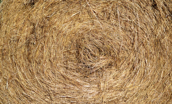 Hay Texture Images – Browse 48,991 Stock Photos, Vectors, and Video ...