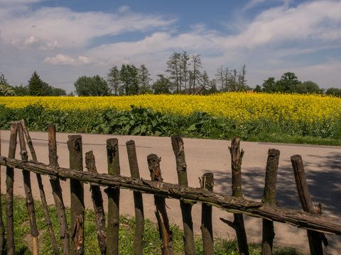 Ring-Fence bilder – Bläddra bland 96 stockfoton, vektorer och videor ...