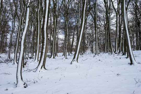 Tanus Images – Browse 47 Stock Photos, Vectors, and Video | Adobe Stock