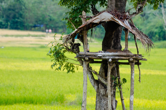 36 BEST Machan IMAGES, STOCK PHOTOS & VECTORS | Adobe Stock