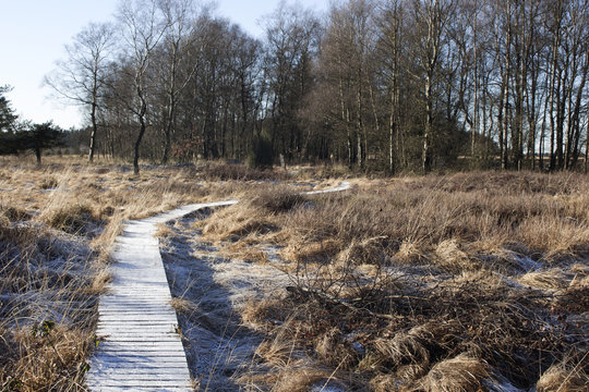 Obrázky Fagne – procházejte fotografie, vektory a videa 1,552 | Adobe Stock