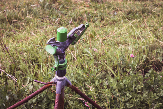 Springler-Bilder: Stock-Fotos & -Videos. | Adobe Stock