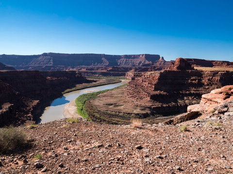 Reva bilder – Bläddra bland 60 stockfoton, vektorer och videor | Adobe ...