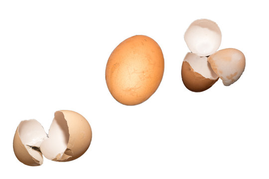 รูปภาพEierschale – เลือกดูภาพถ่ายสต็อก เวกเตอร์ และวิดีโอ13,703 | Adobe ...