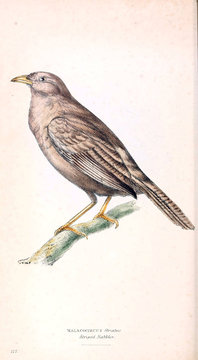 Tesia Images – Browse 62 Stock Photos, Vectors, and Video | Adobe Stock