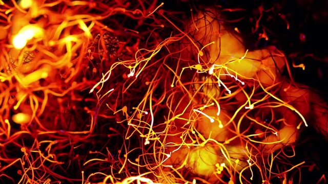 "Steel Wool" Images – Browse 13,180 Stock Photos, Vectors, and Video ...