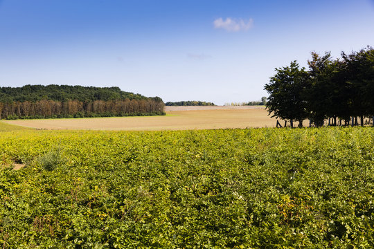 E2 Bilder – Durchsuchen 653 Archivfotos, Vektorgrafiken und Videos ...