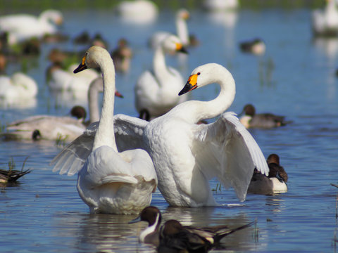 「長居する」の写真素材 | 1,127,994件の無料イラスト画像 | Adobe Stock