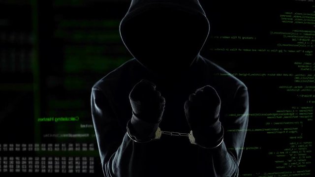 Cyber-Law Bilder – Durchsuchen 276 Archivfotos, Vektorgrafiken und ...